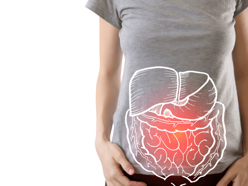 Understanding Digestion: Fix Poor Digestion Naturally